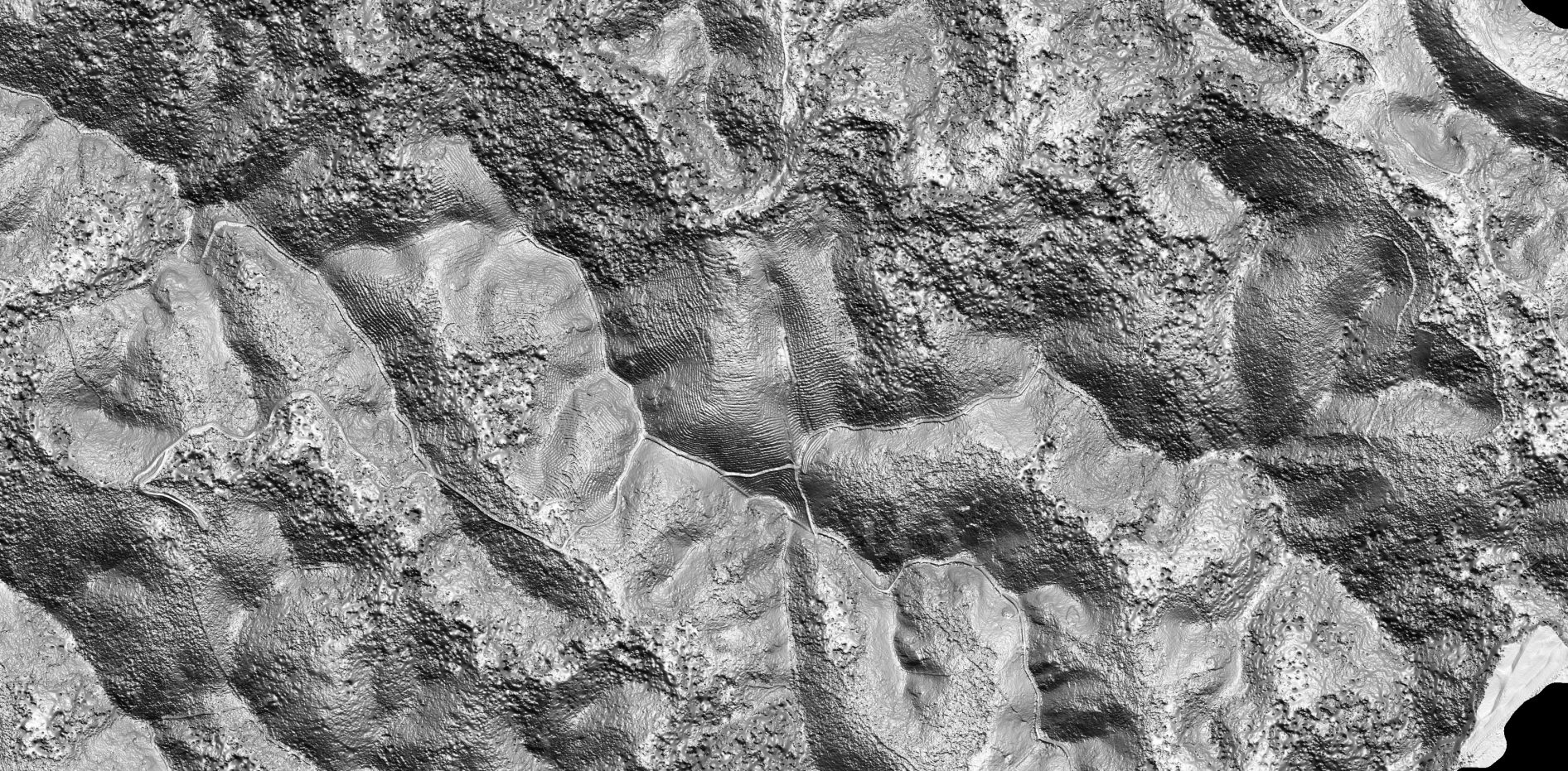 Using UAV LiDAR for a reforestation project in Indonesia