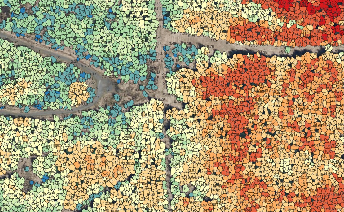 Mapping Mountainous Regions for Forestry Management