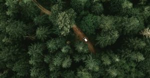 LiDAR Point Clouds: Basics for 3D Mapping by Yellowscan