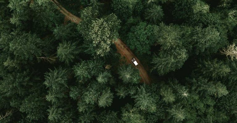 LiDAR Point Cloud Basics