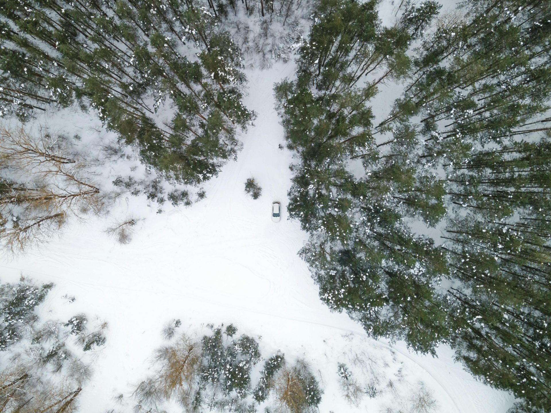 LiDAR Data Processing: Deliverables,and Key Steps