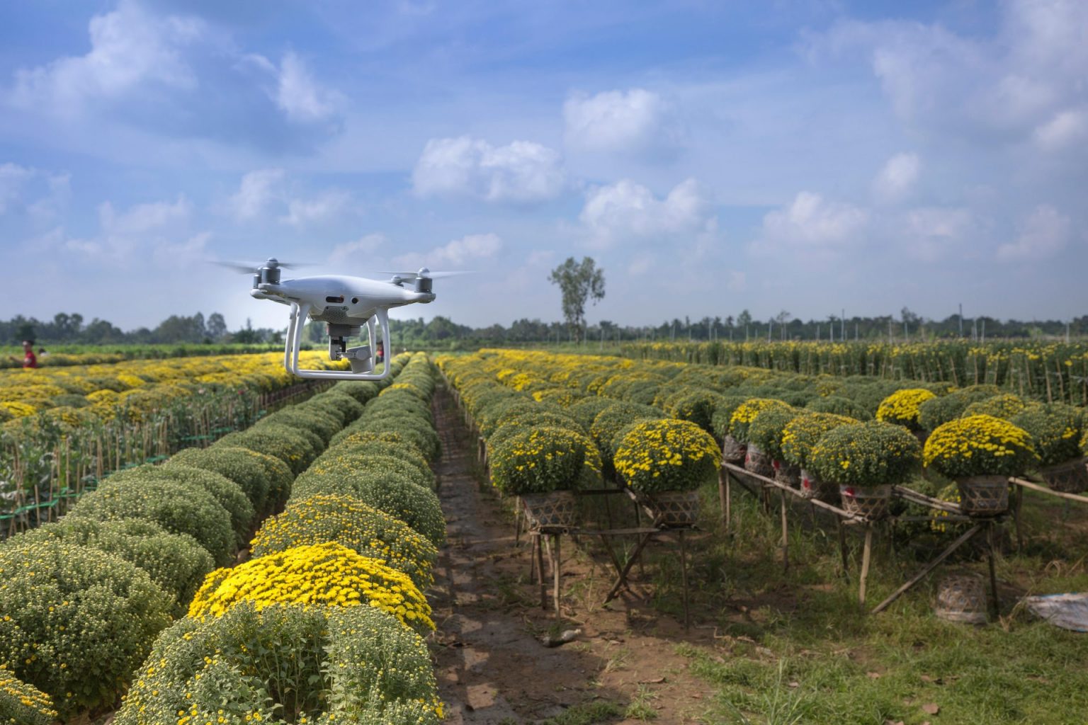 Remote Sensing: What It Is and How Is It Used ? | YellowScan